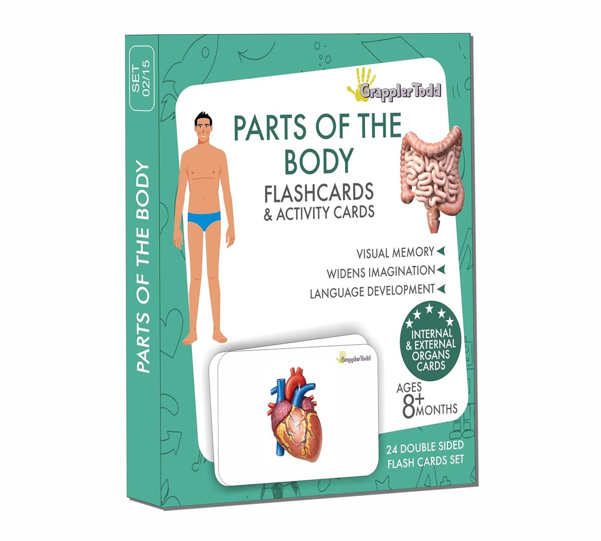 GrapplerTodd Parts of The Body (Internal & External Organs) Activity ...