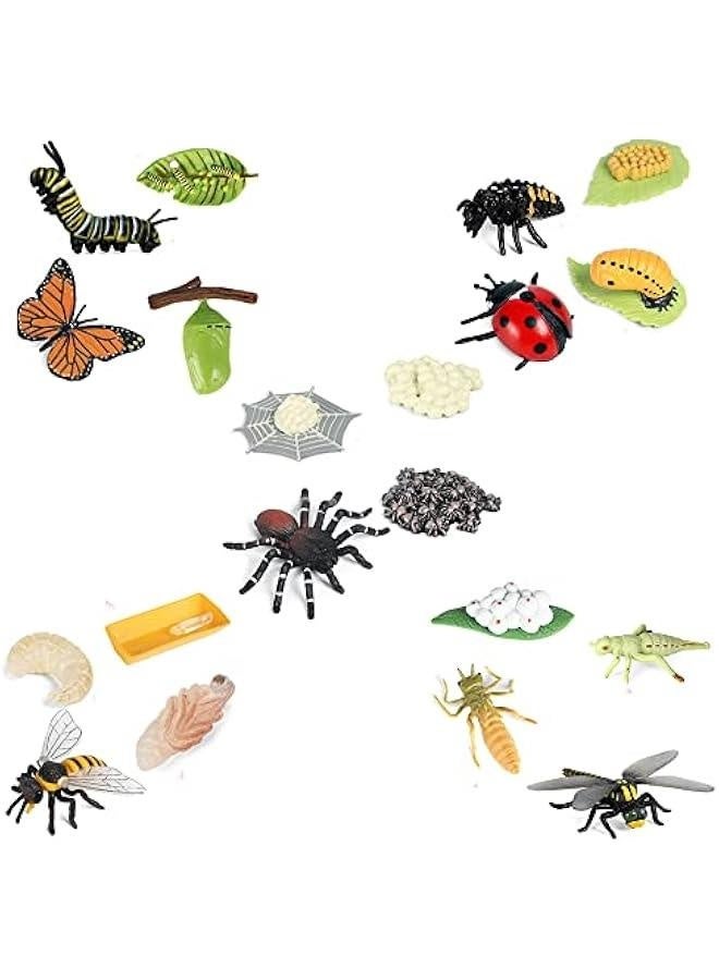 Generic 20 PCS Life Cycle Figurines of erfly Spider Bee Ladybug ...