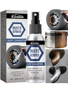 RAYHONG Multifunctional Rusts Remover Spray For Metal And Cars ...