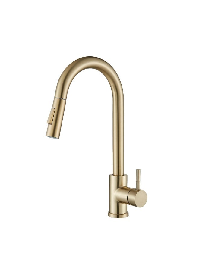 FIRST PRO Gold Kitchen Tap Kitchen sink Tap, Dual Function Kitchen ...