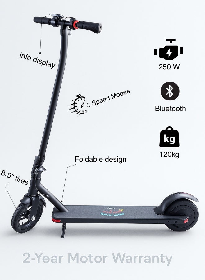 NIYAZI Electric Scooter | Economical Electric Scooter | electric ...