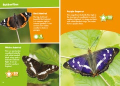 i-SPY Butterflies and Moths | Best Price UAE | Dubai, Abu Dhabi