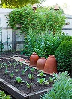 GGOOT GERMINATION SEEDS: SET OF 4 MONTGOMERY WARD 10 INCH X 72 INCH ...