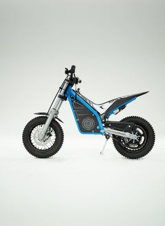 Torrot Electric Bike for Kids | Made in Europe | for Age 3-7 | Parental ...