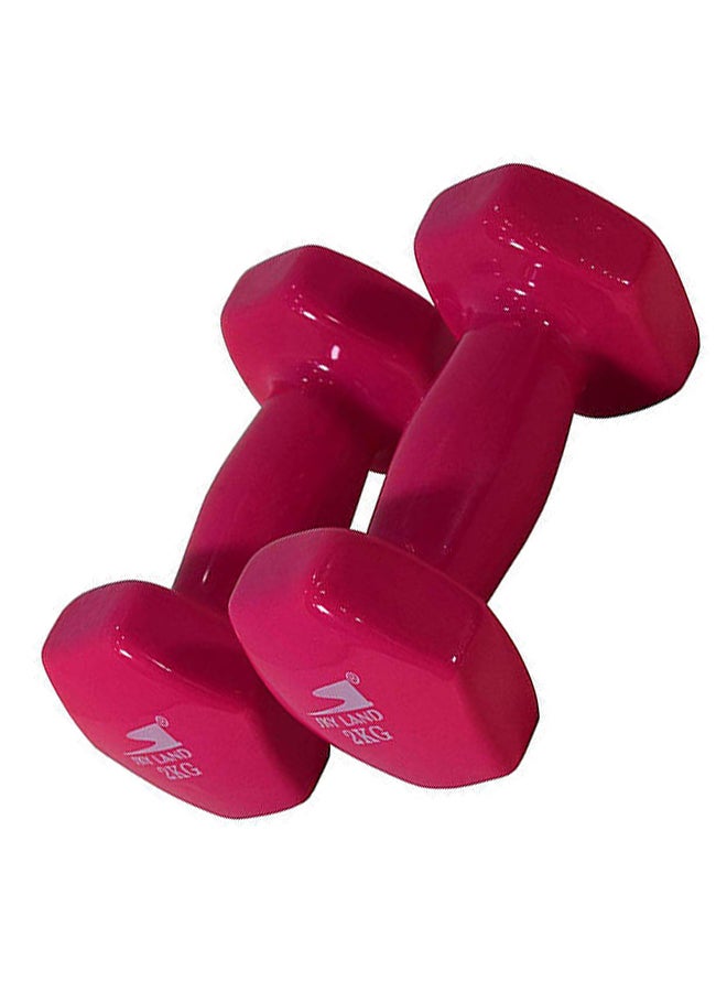 Buy SkyLand Vinyl Dumbell Set Online | 15 Minutes Instant Delivery ...