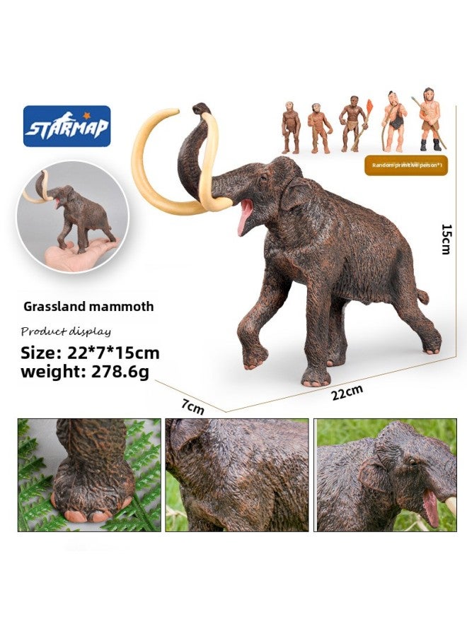 Generic Dinosaur Toy Tyrannosaurus Rex Simulation Animal Model Toy ...