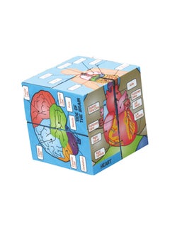Generic Organ Puzzle Model Human Body Assembly For Kids Torso Model ...