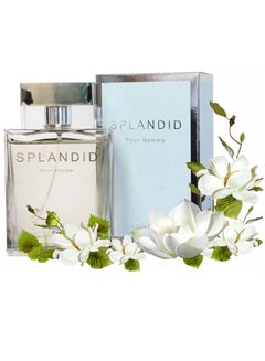Laura Mars splandid by laura mars for men eau de perfume 100ml KSA ...
