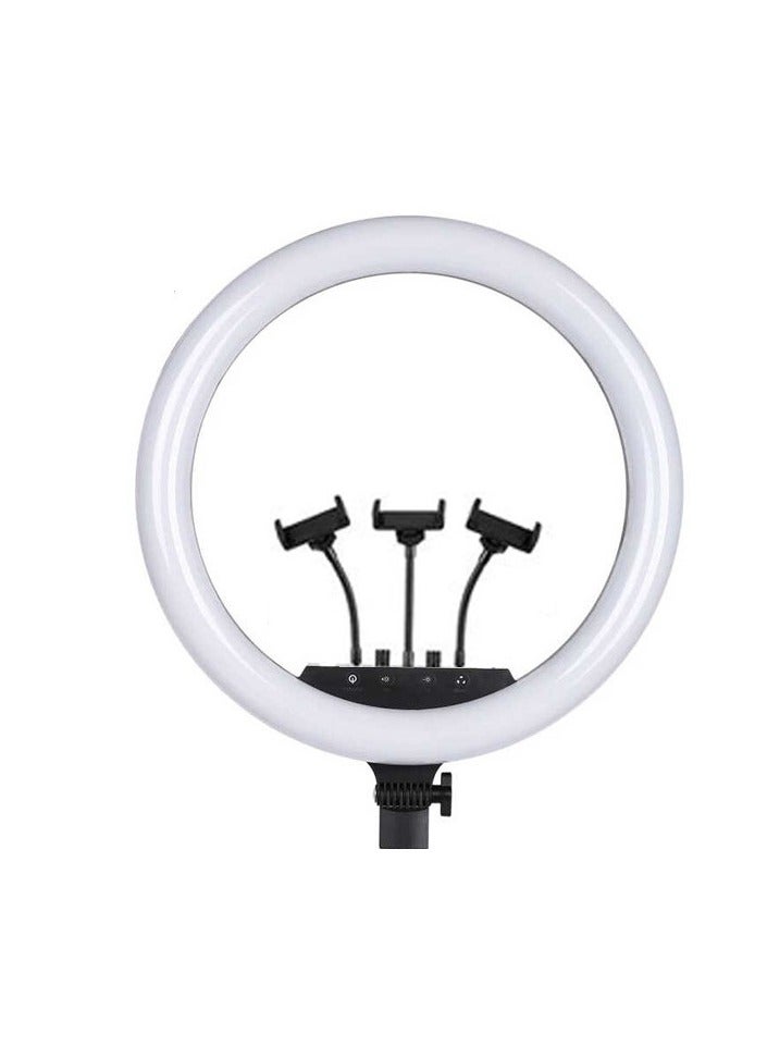 NeePho NeePho NP-14 Professional LED Ring Light | Best Price UAE ...