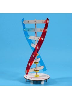 Generic DIY Double Helix DNA Model Kit – Educational Science Toy for ...