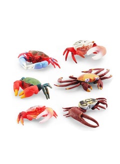 Excefore 6 PCS Realistic Crab Figurine, Plastic Marine Animal Crab ...