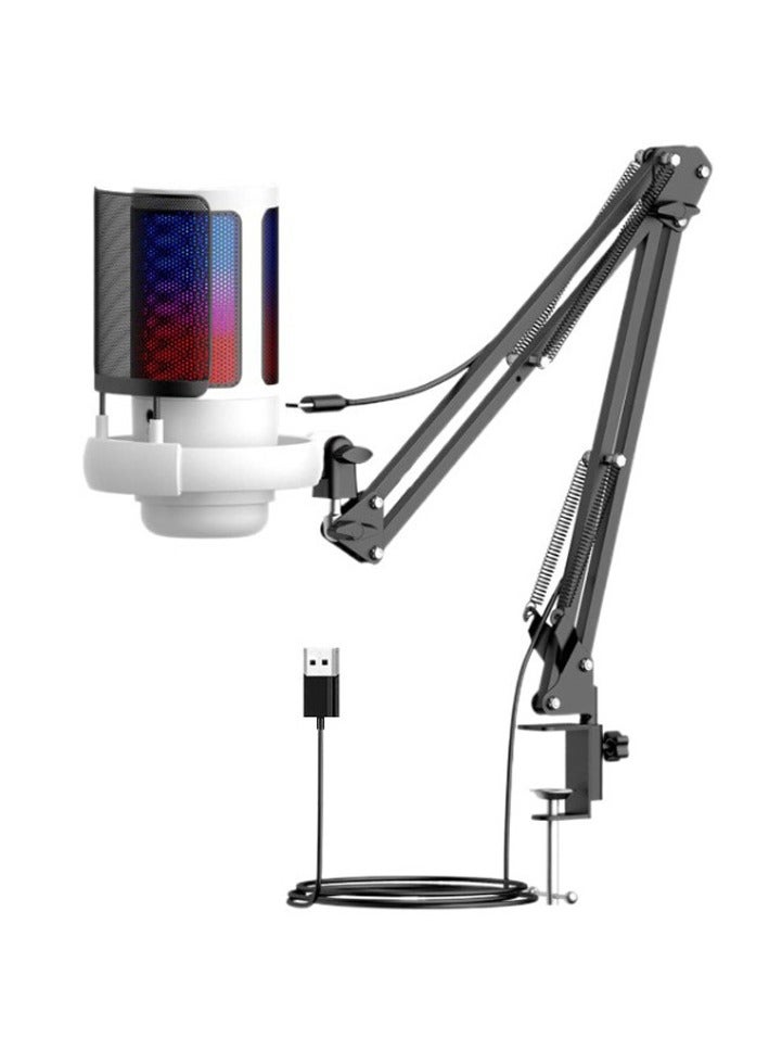 XiuWoo Microphone RGB Esports Game Recording Mic with Metal Boom Stand ...