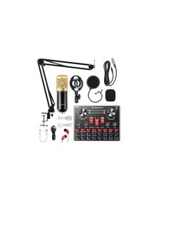 Generic Condenser Microphone Bundle 94V75HF7 Multicolour Egypt | Cairo ...