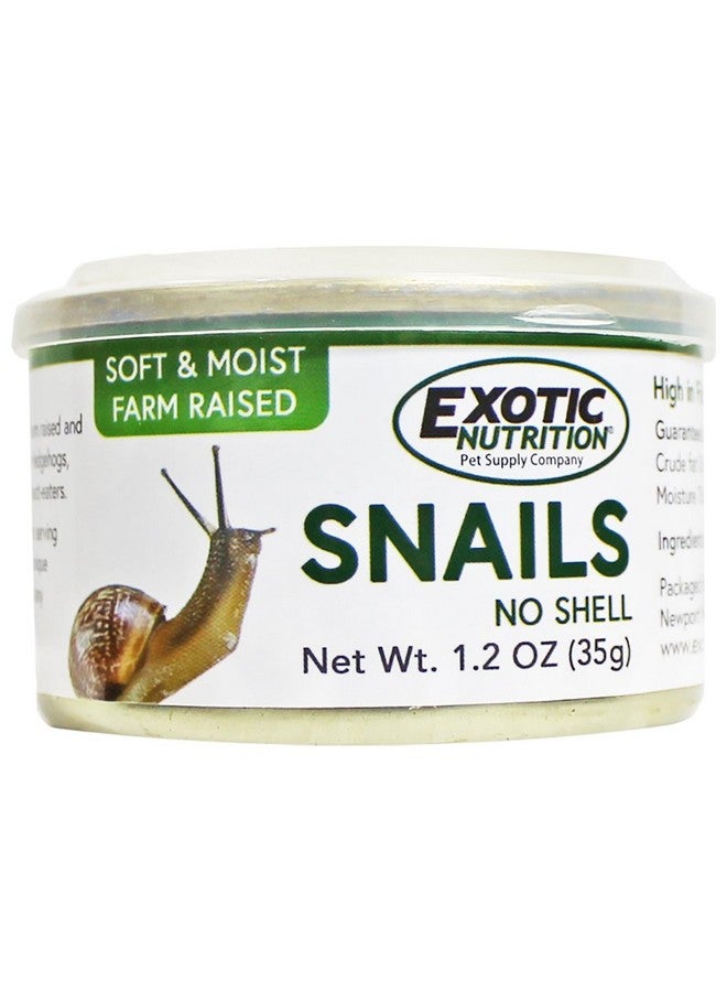 EXOTIC NUTRITION Canned Snails (1.2 oz.) - Healthy High Protein Insect ...