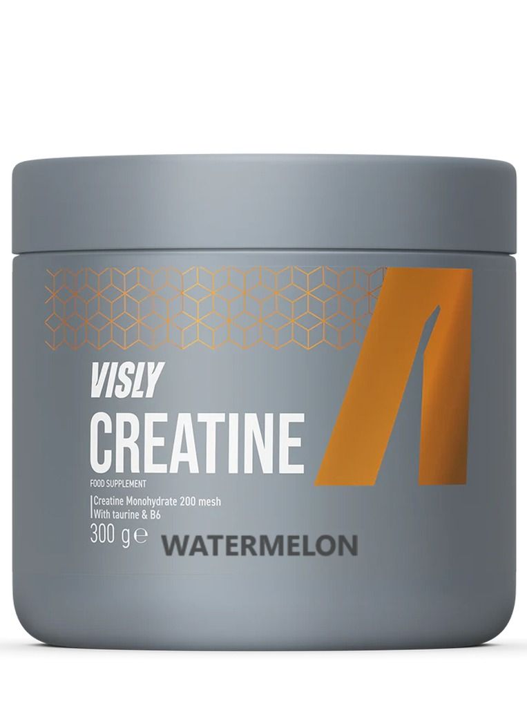 VISLY Creatine Monohydrate 300 Grams, Watermelon | Best Price UAE ...