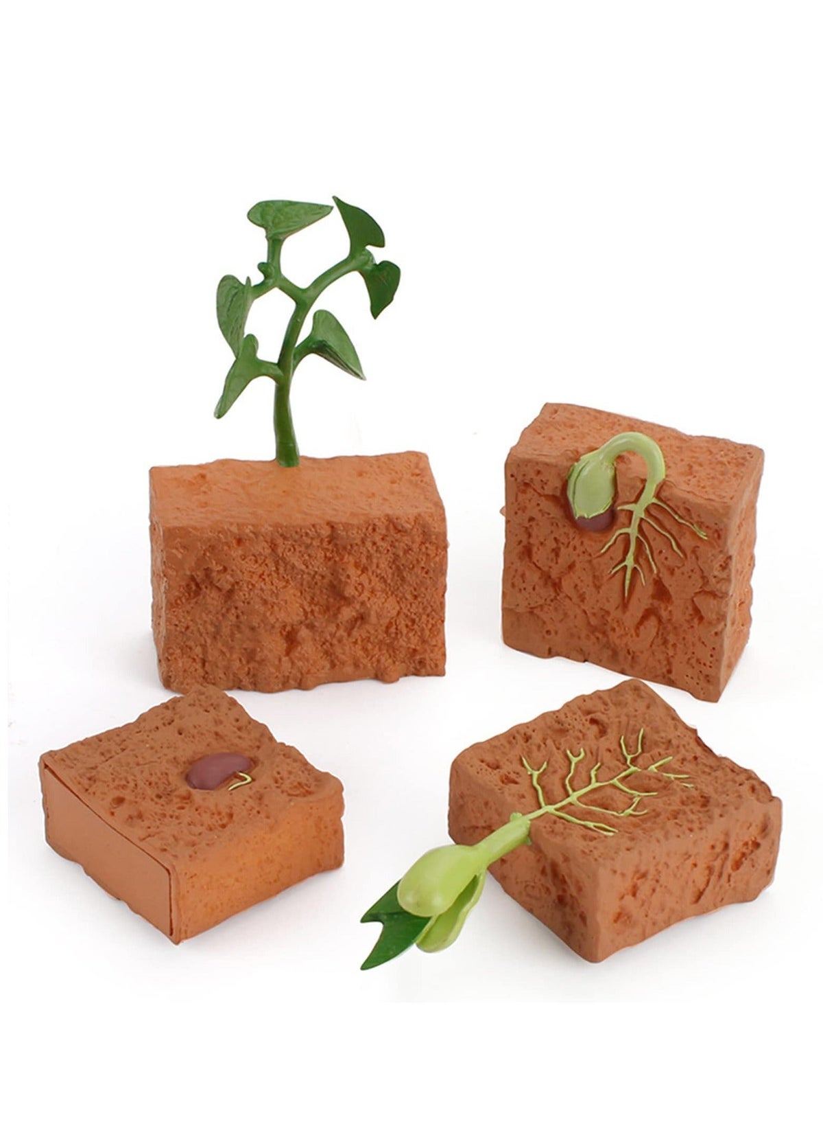 Generic Plant Growth Cycle Farm Animal Growth Cycle Biological Figure ...