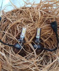 LED XENON Tvs Jupiter Optical White (Special Series) Original Socket ...