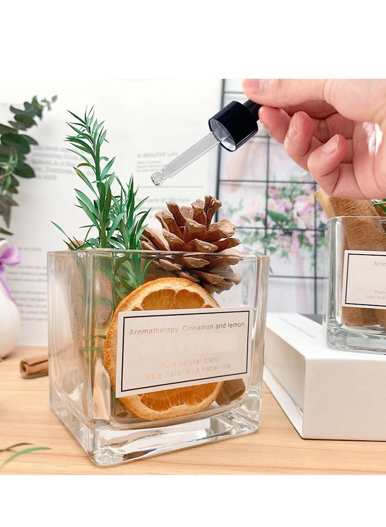 DISHIXUAN Aromatherapy Diffuser Cup with Cinnamon and Natural Plants ...