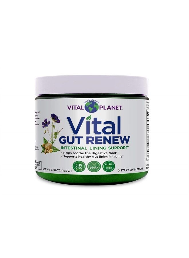 تسوق Vital Planet وVital Gut Renew Powder Supplement Formulated with L ...