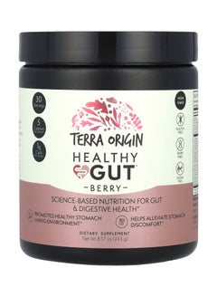Terra Origin Gut Health Formula, Digestive System Improvement Powder ...