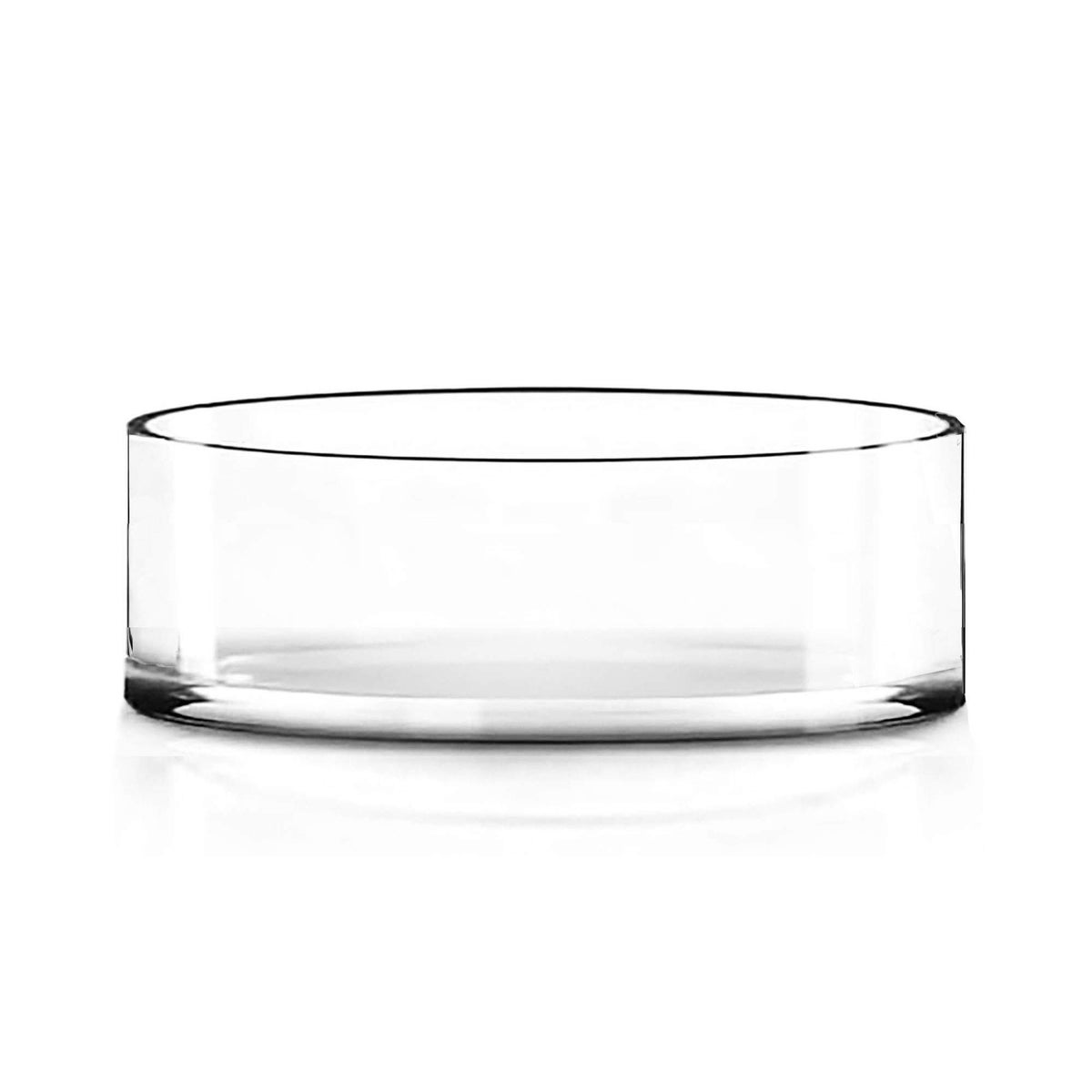 CYS EXCEL CYS EXCEL Wide Cylinder Clear Glass Vase H4 D12 Flower Vase ...
