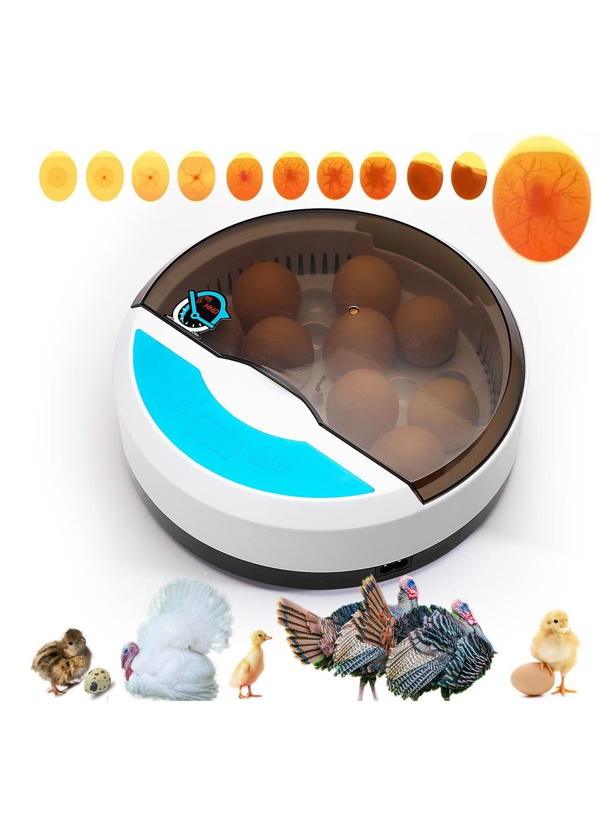 Generic Egg Incubator, with 9 LED Light Egg Candle Tester and ...