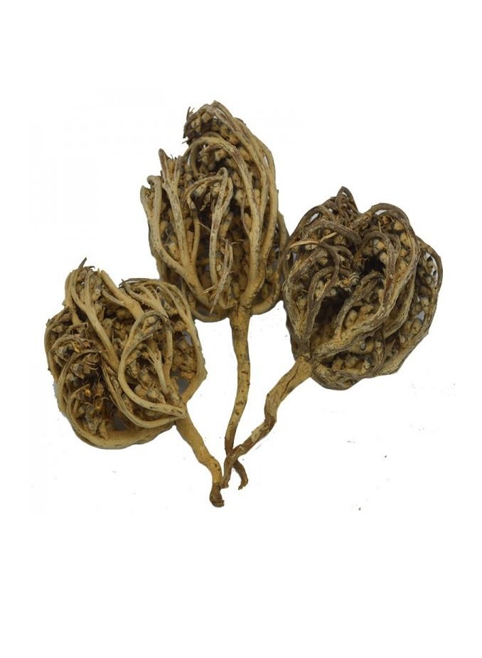 Generic Maryam Booti 50gm | Best Price KSA | Riyadh, Jeddah