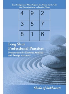 Feng Shui Professional Practice: Preparation for Extreme Analysis and ...