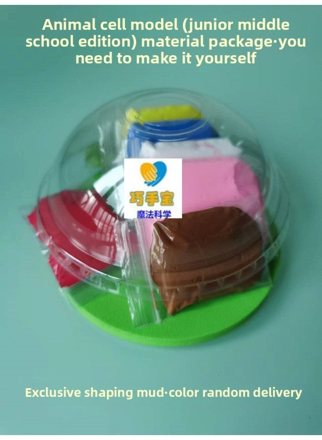 Generic Animal Plant Cell Model Making Materials Junior High School ...