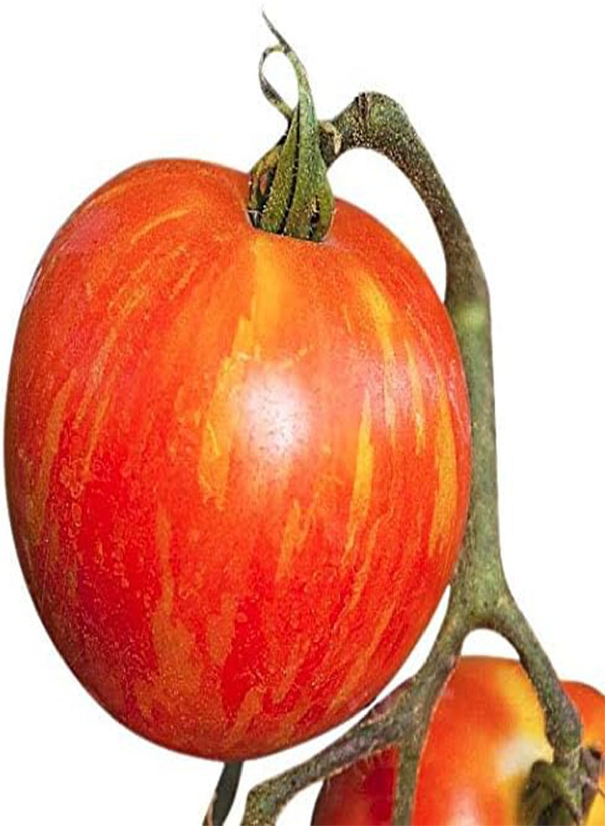 GGOOT Mr. Stripey Heirloom Tomato Seeds - Large Tomato - One of The ...