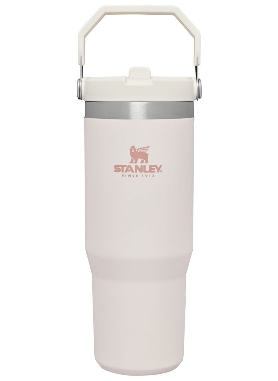 Stanley Stanley Large Capacity Insulated Water Bottle | Best Price KSA ...