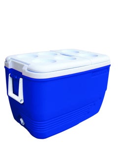 PRINCEWARE 60-Litre Ice Box Thermo insulated Picnic Cool Box-Thermo ...