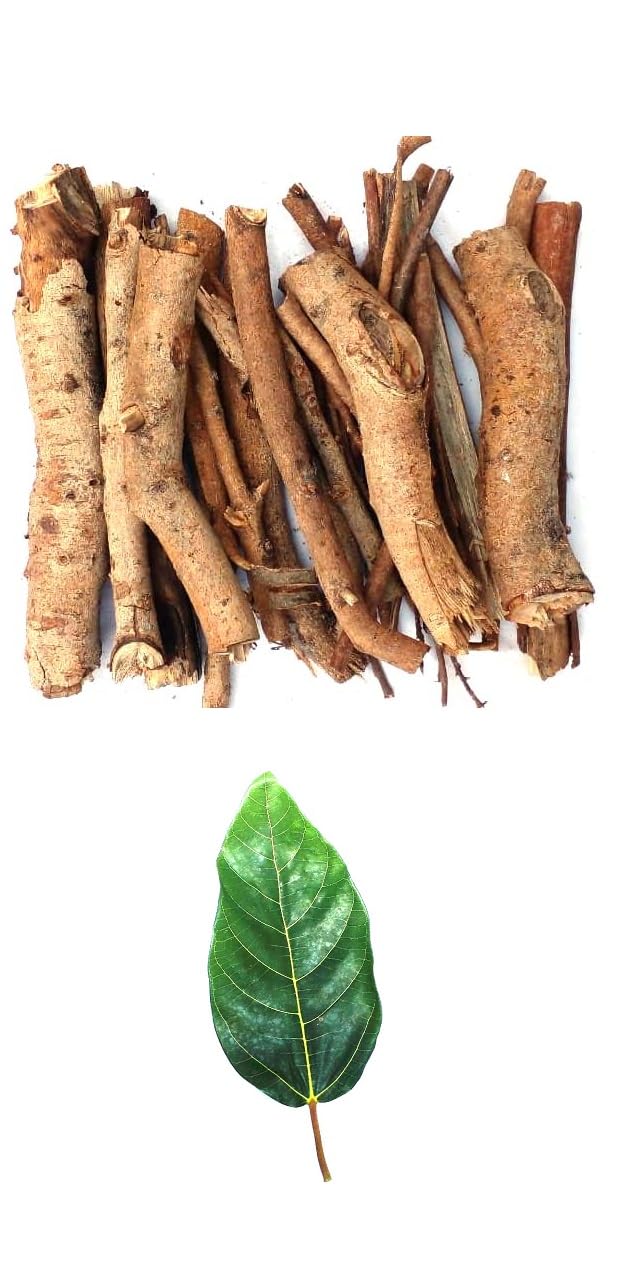 Generic Li6 Gular Wood Stick for Havan 1 Kg Gullar Ki Ped Ka Lakdi Puja ...