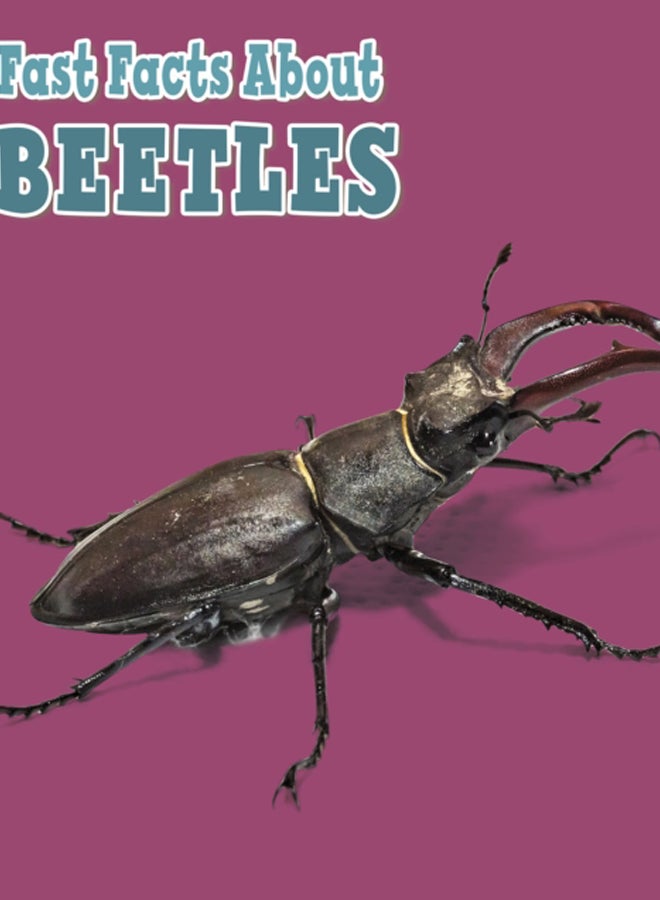 تسوق وFast Facts About Beetles أونلاين في السعودية