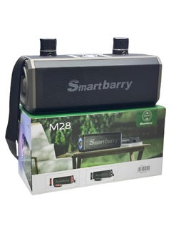Smartberry Smart berry M28 Portable Karaoke Machine Wireless Bluetooth ...