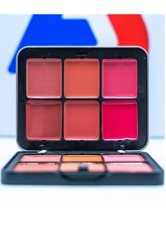 Might Cinema Palette Blusher Creamy & Powder - 12 Color Egypt | Cairo, Giza