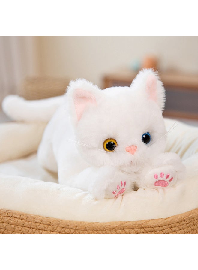Generic Cartoon Cat Doll Children's Bed Sleeping With Pillow Plush Toy ...