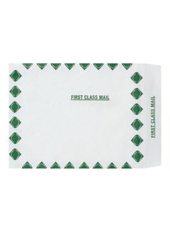 Tyvek 100-Piece First Class Expandable Envelope Set White/Green UAE ...