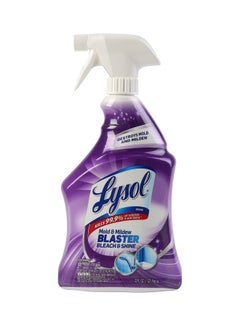 Lysol Mold And Mildew Stain Remover | Best Price UAE | Dubai, Abu Dhabi