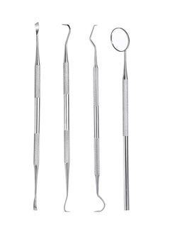Generic 4-Piece Teeth Scraper Set For Personal And Professional Use KSA ...