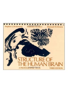 Structure Of The Human Brain spiral_bound english - 12-Dec-10 | Best ...