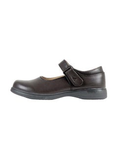 SYMPHONY Comfortable Sole School Shoes Brown UAE | Dubai, Abu Dhabi