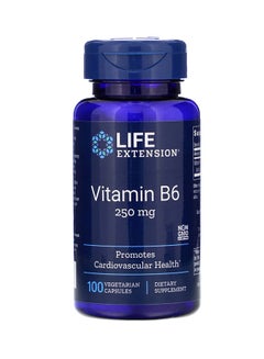 Life Extension Pack Of 2 Vitamin B6 250 mg - 100 Capsules UAE | Dubai ...