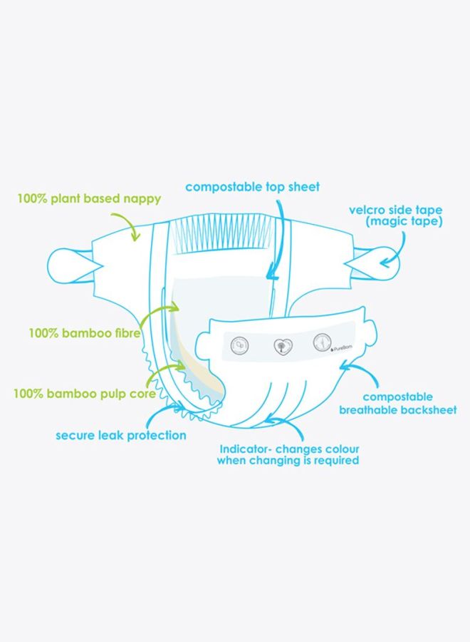 Buy PureBorn Organic Diapers Size 2 (3-6kg) Twin Value Pack Assorted ...