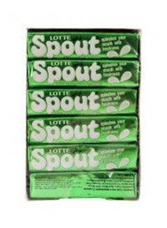 Lotte Spout Spearmint Chewing Gum Box of 18 400grams | Best Price UAE ...