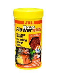 JBL Novo Flower Mini Fish Food For Flowerhorn Cichlid 250ml UAE | Dubai ...