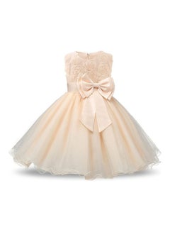 XiuWoo Princess Cosplay Costume 90cm KSA | Riyadh, Jeddah