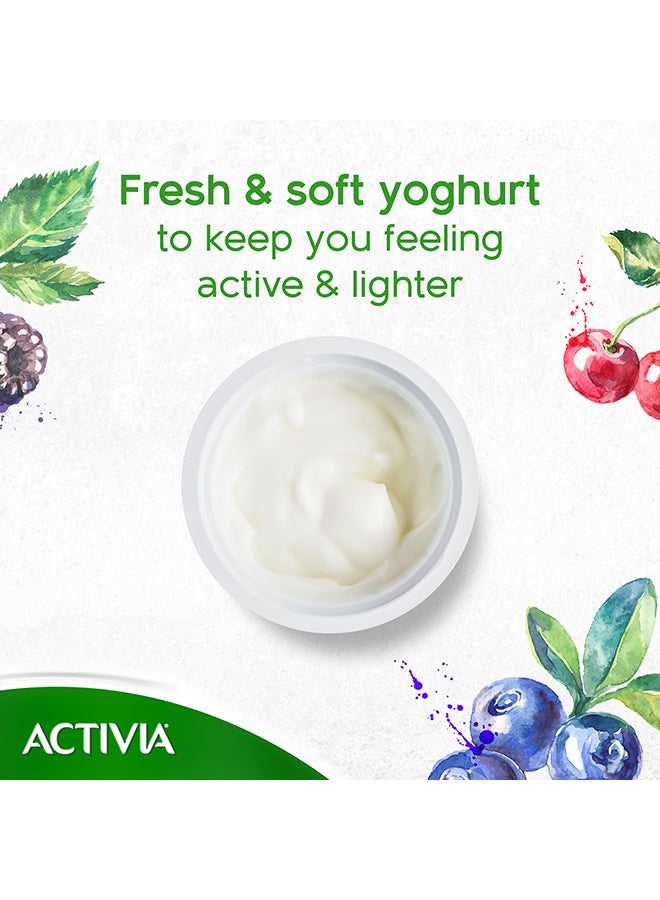 Buy Activia Set Yoghurt Low Fat Online | 15 Minutes Instant Delivery ...