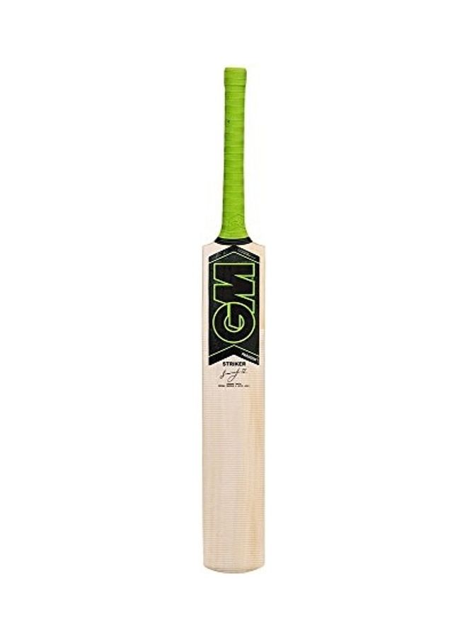 GM Paragon Striker Kashmir Willow Cricket Bat | Best Price UAE | Dubai ...