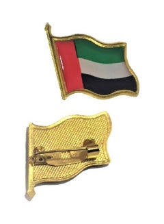 Generic 12-Piece Flag Shape Pins Pack For UAE National Day UAE | Dubai ...